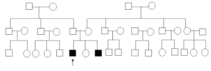 FULL TEXT - Hunter syndrome presenting as heart failure: A case report ...